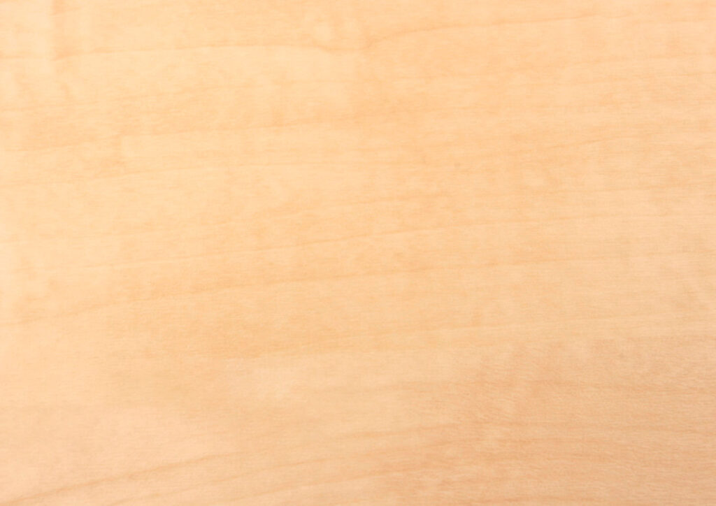 MDF Maple - GREY Forestal