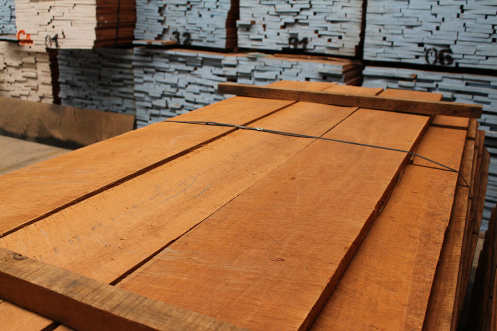 Cedro Nacional - GREY Forestal