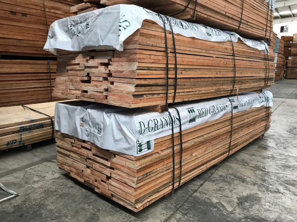 Red Grandis - GREY Forestal