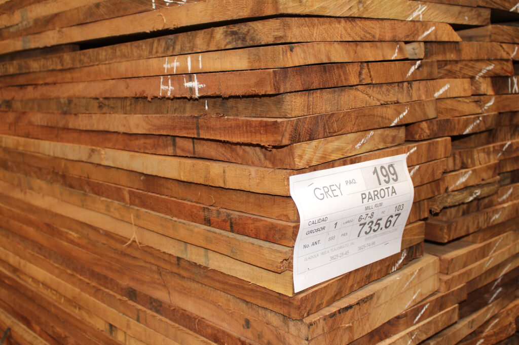 Parota - GREY Forestal